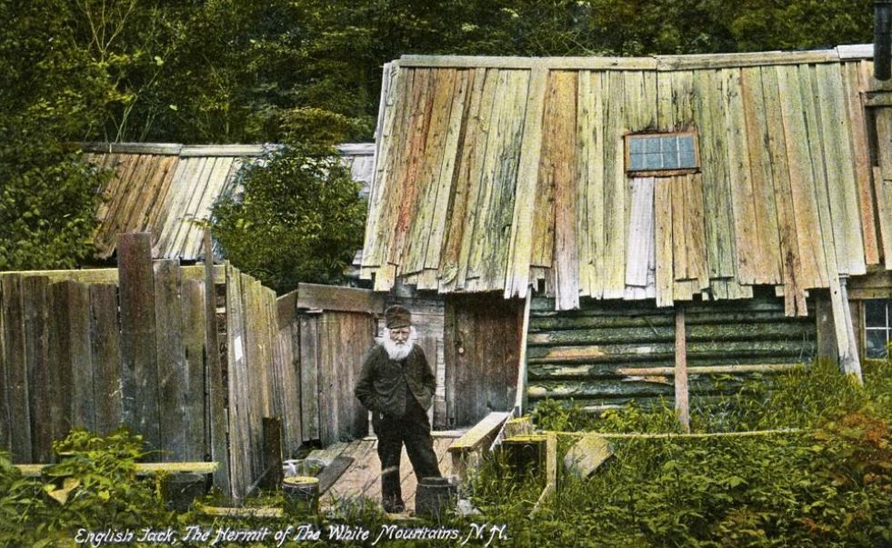 Old Hermit In The Woods