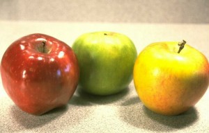 Official New Hampshire State Beverage: Apple Cider | Cow Hampshire