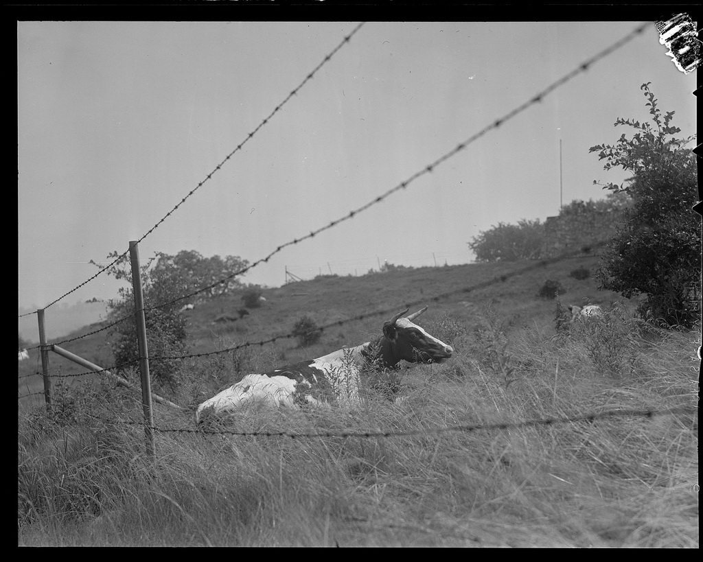 Charlestown NH Farmer, Inventor, Barbed Wire King: Joseph Farwell ...
