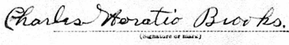 Brooks signature | Cow Hampshire