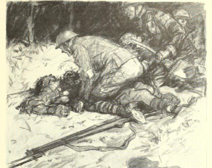 illustration in American Legion magazine Raymond Sisley artist | Cow ...